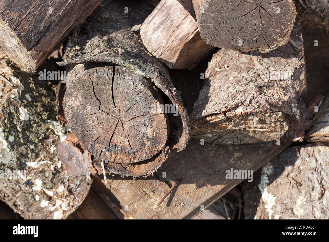Timber power pole close up hi-res stock photography and images - Alamy