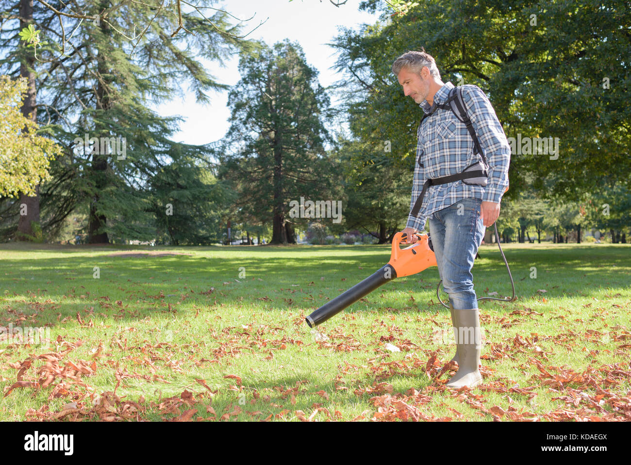 Gas leaf blower hi-res stock photography and images - Alamy