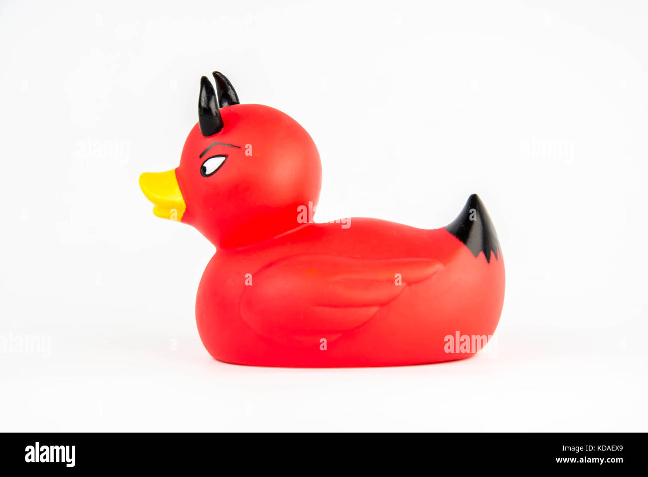 Devil Ducky High Resolution Stock Photography and Images - Alamy