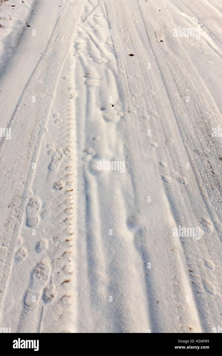 traces of cars a Stock Photo - Alamy