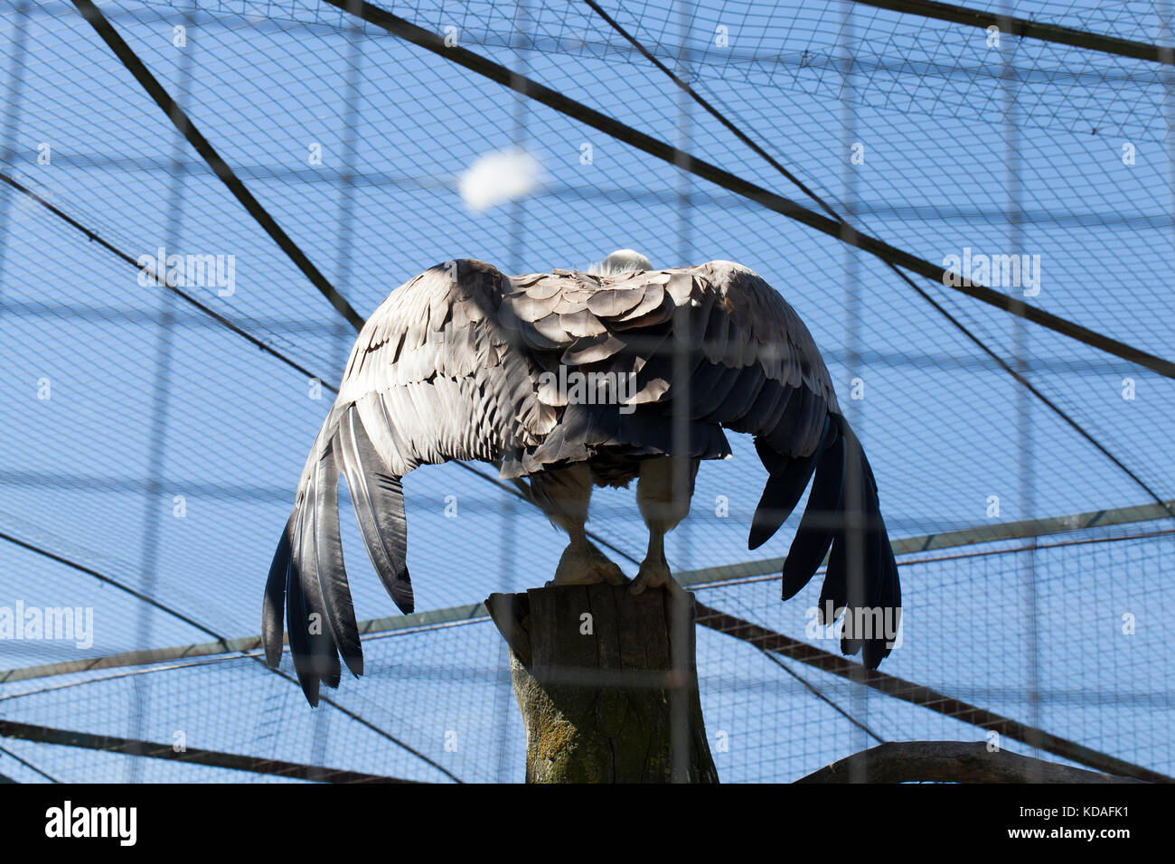 Look spread hi-res stock photography and images - Alamy
