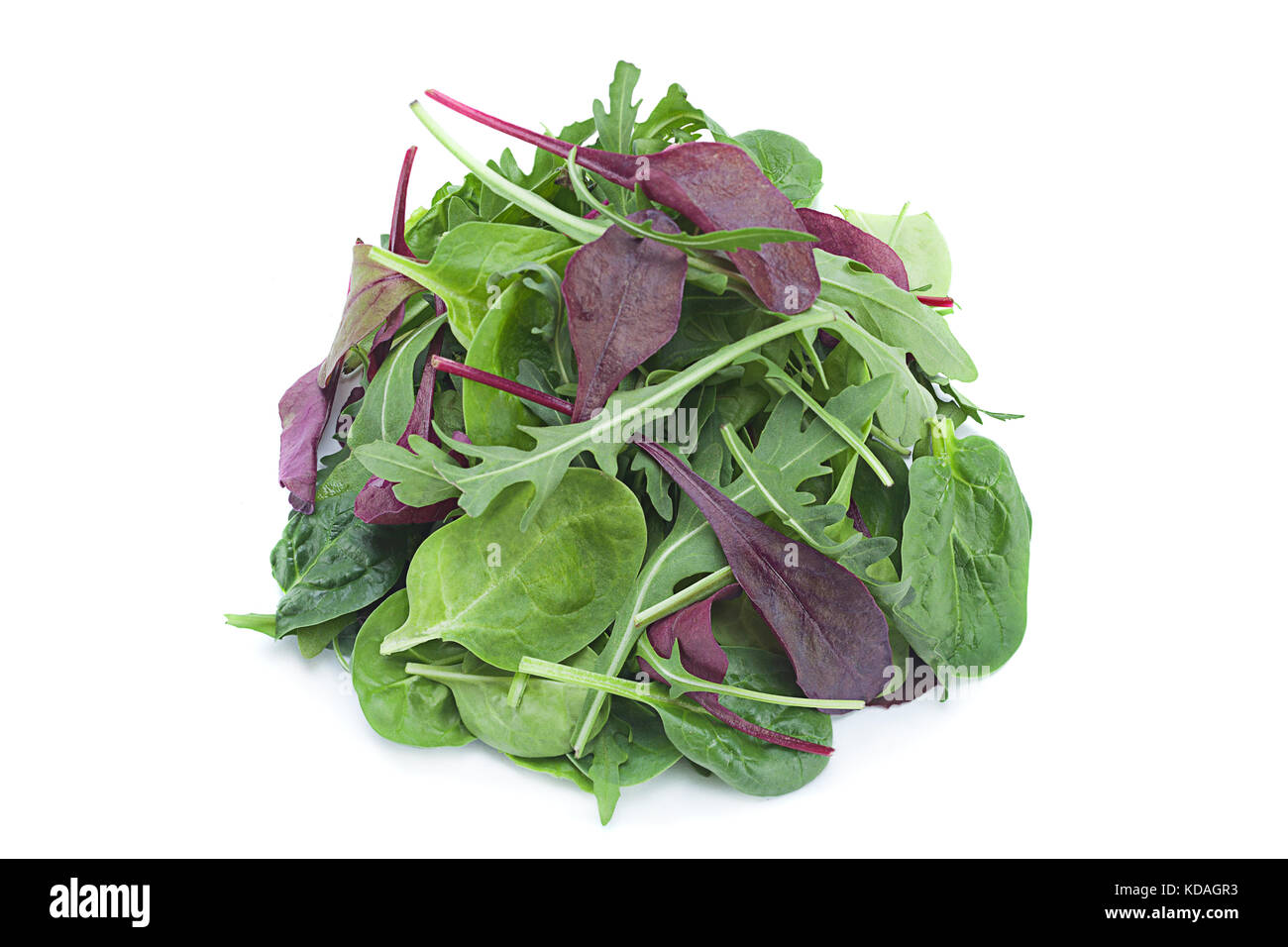 Salad leaf mix closeup on white background Stock Photo - Alamy