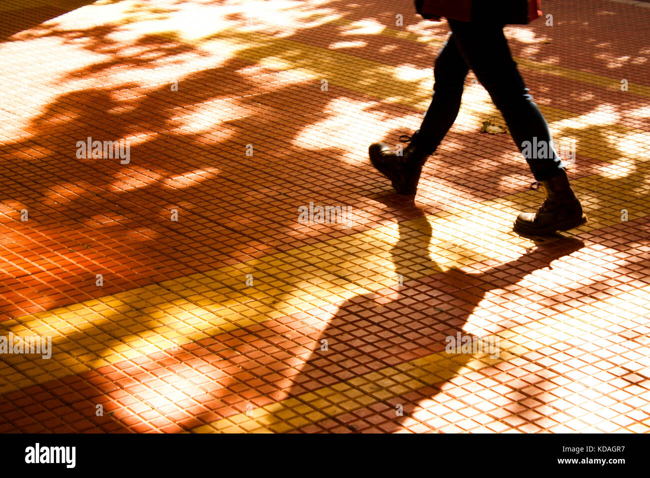 Shadows and silhouettes of a person walking in motion blur and trees in ...
