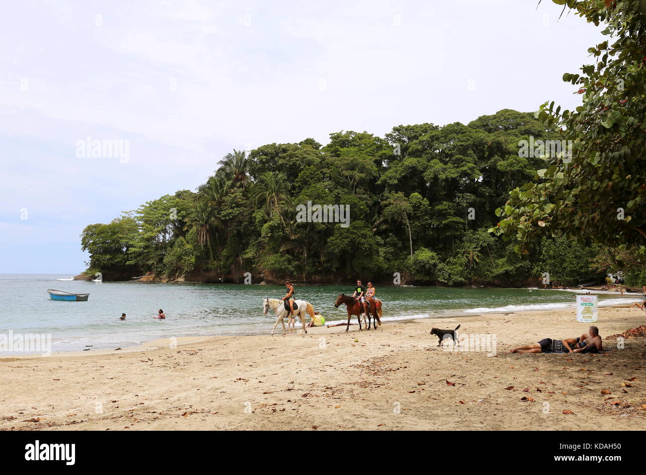 Horse-riding on Playa Punta Uva, Puerto Viejo de Talamanca, Limón ...