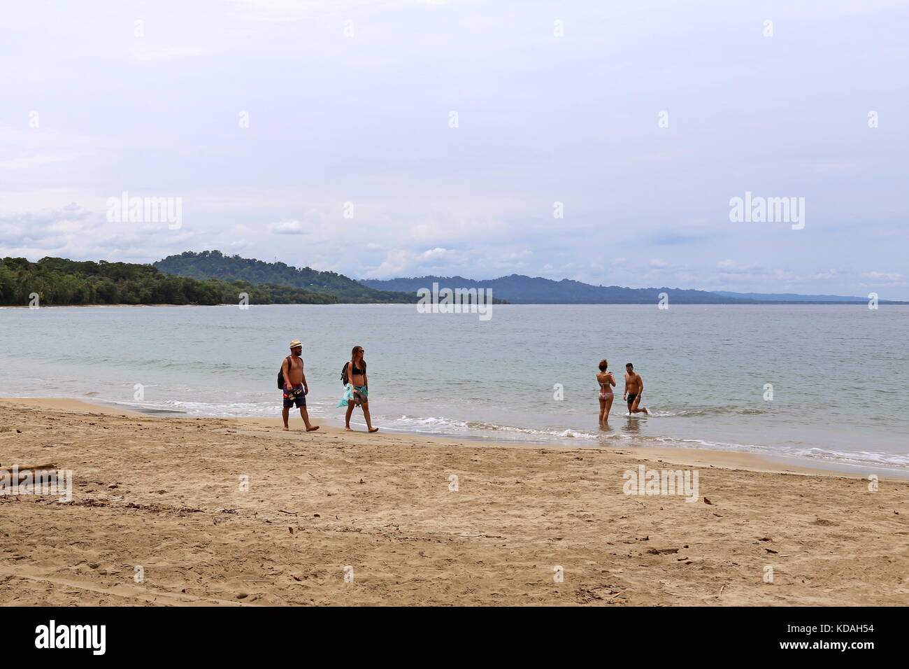 Playa Punta Uva, Puerto Viejo de Talamanca, Limón province, Caribbean ...