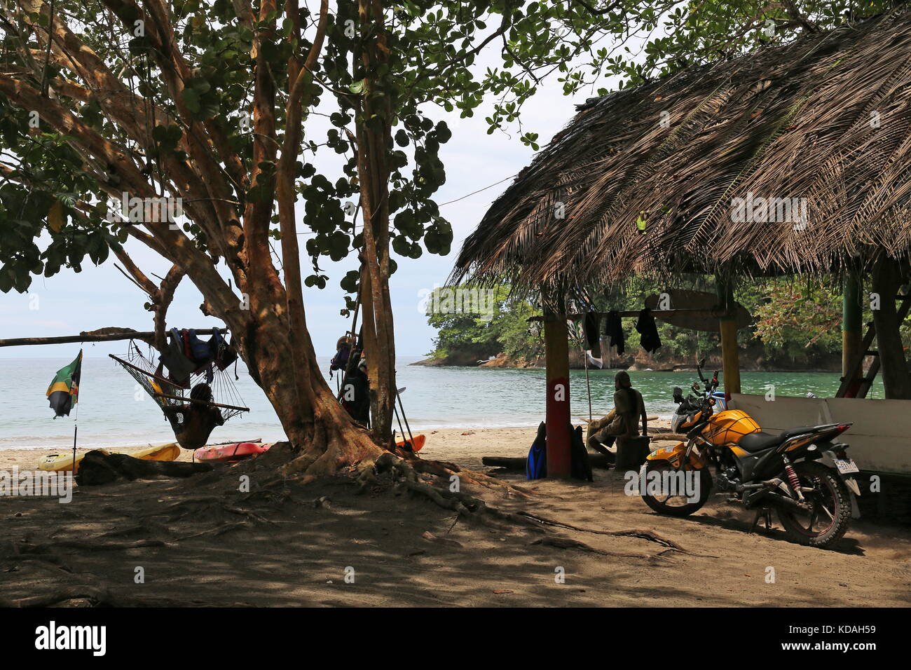 Playa Punta Uva, Puerto Viejo de Talamanca, Limón province, Caribbean ...