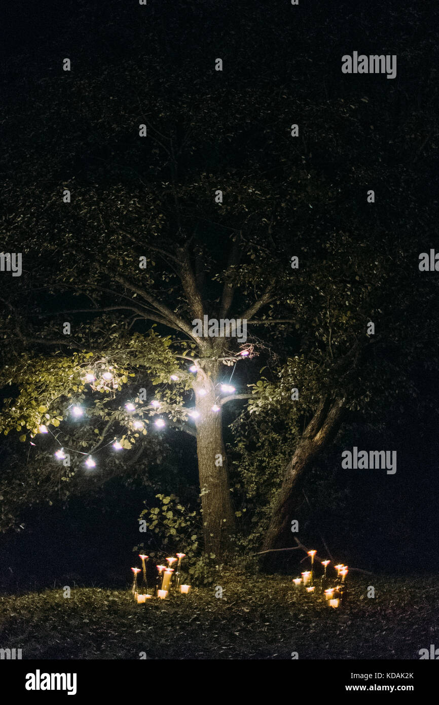 The night composition of the lighting candles below the tree with ...