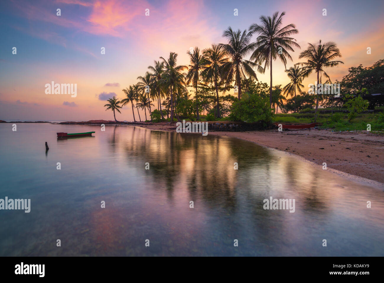 Palm trees on beach, Pulau Batam, Batam City, Riau Islands, Indonesia ...