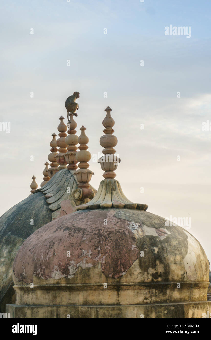monkey sitting on the top of a spire on a dome on an ancient bui Stock ...