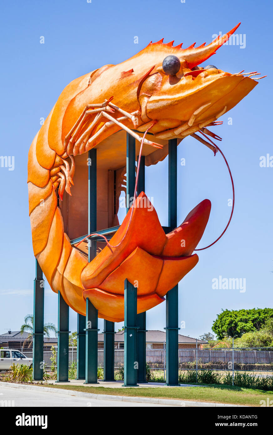 The big prawn ballina hi-res stock photography and images - Alamy