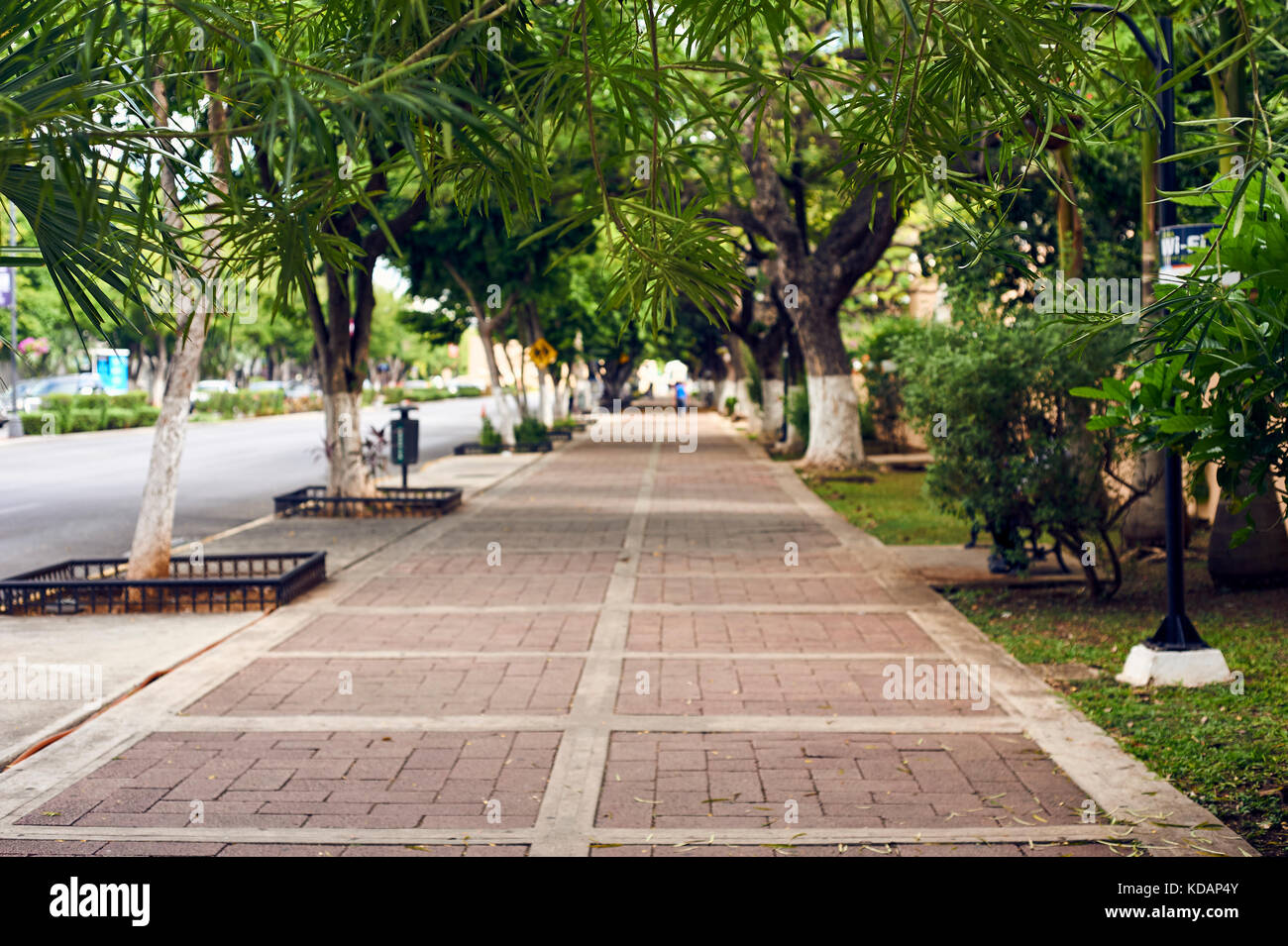 Perspective of Paseo de Montejo sidewalk in Merida, Yucatan, Mexico ...