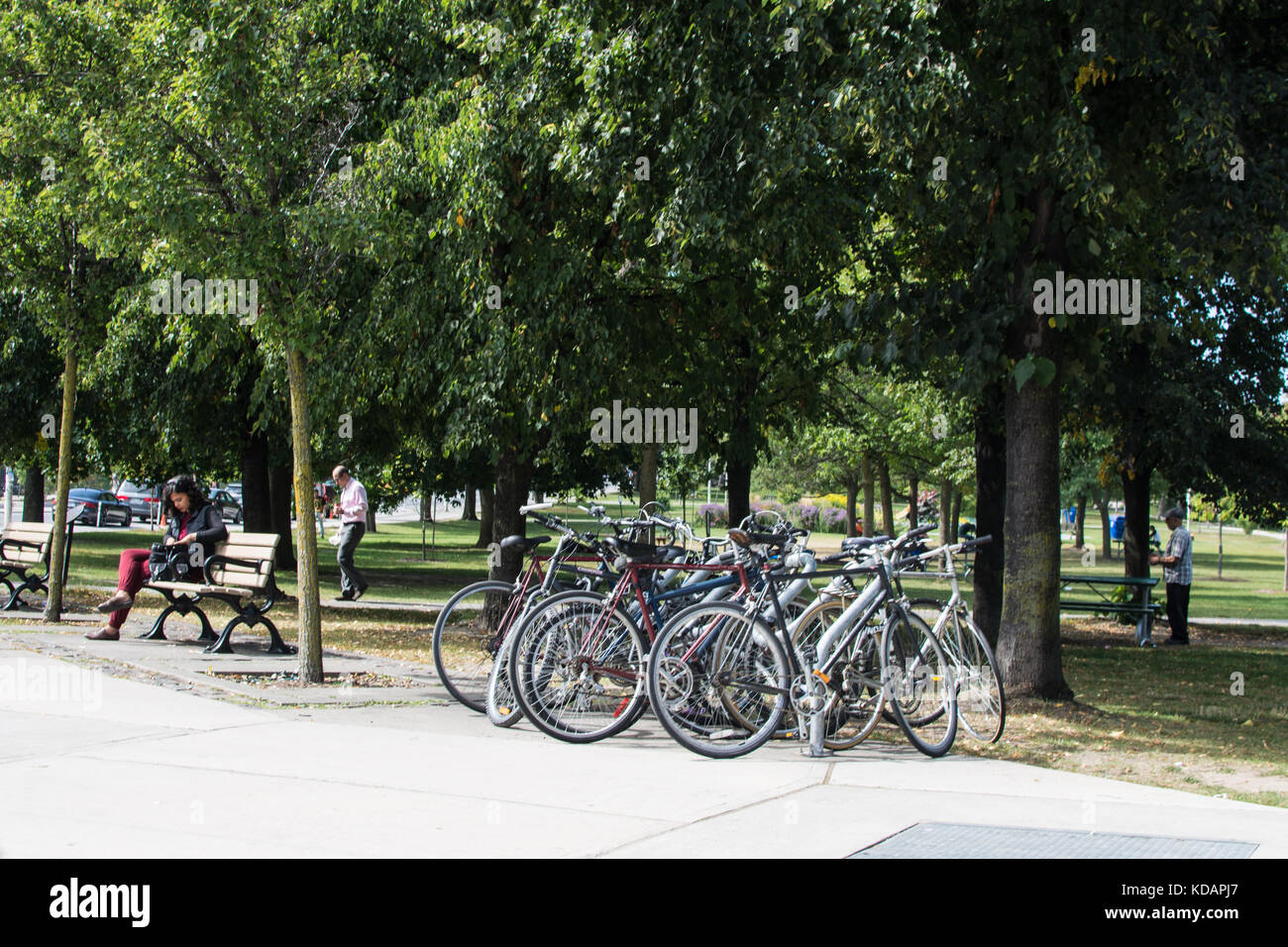 Bikes in Toronto cycle cycles girl sitting on a bench in the park trees ...