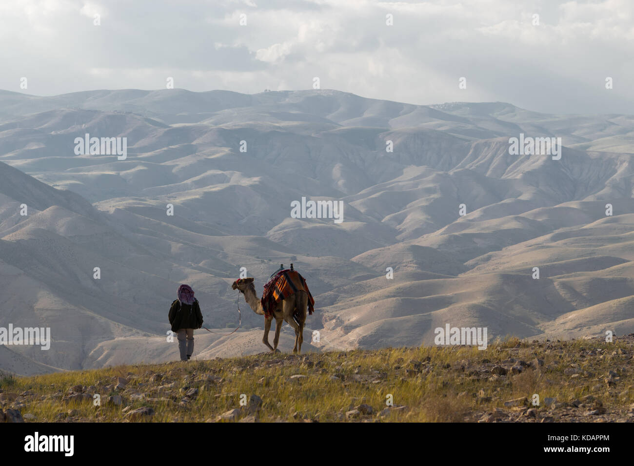 Looking for adventure Stock Photo - Alamy