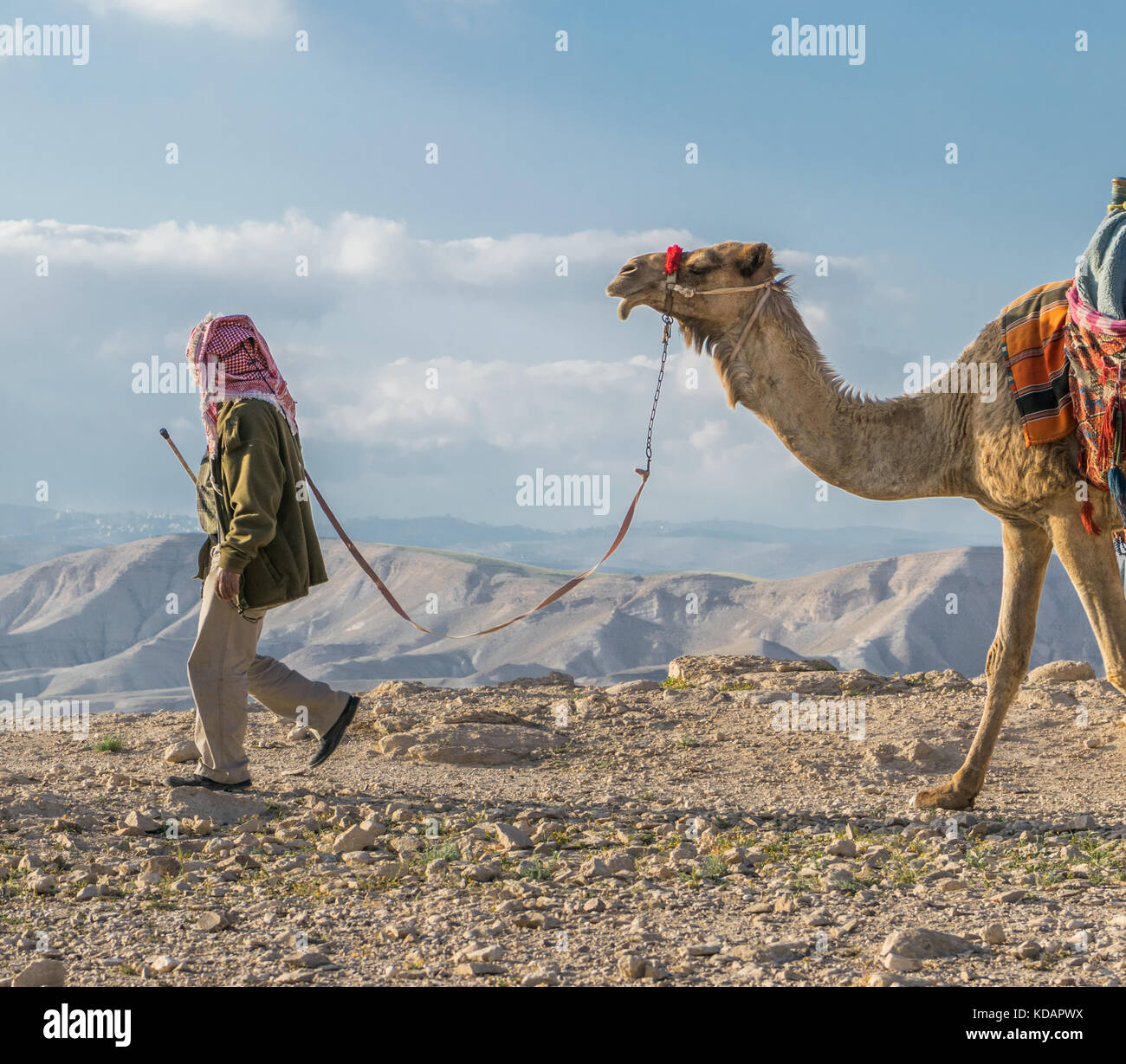 Following the camel hi-res stock photography and images - Alamy