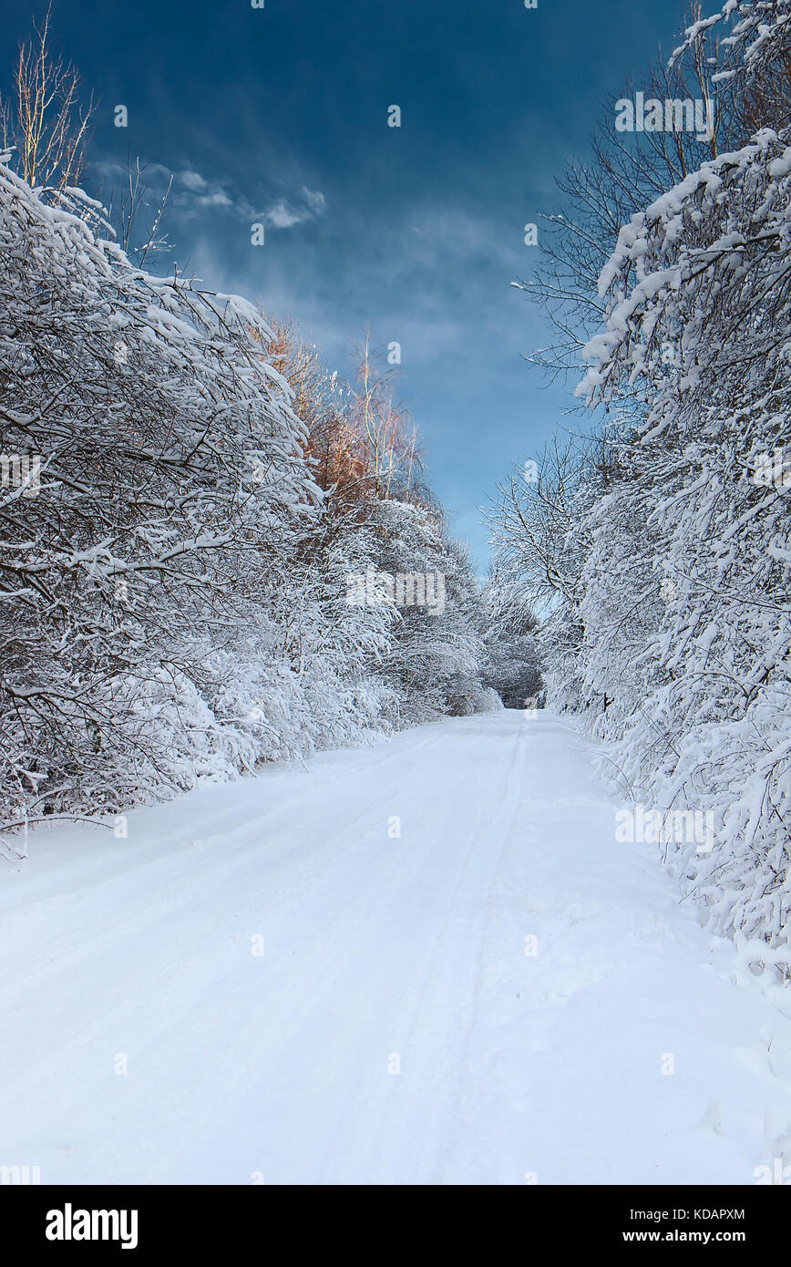 winter snowy forest road Stock Photo - Alamy