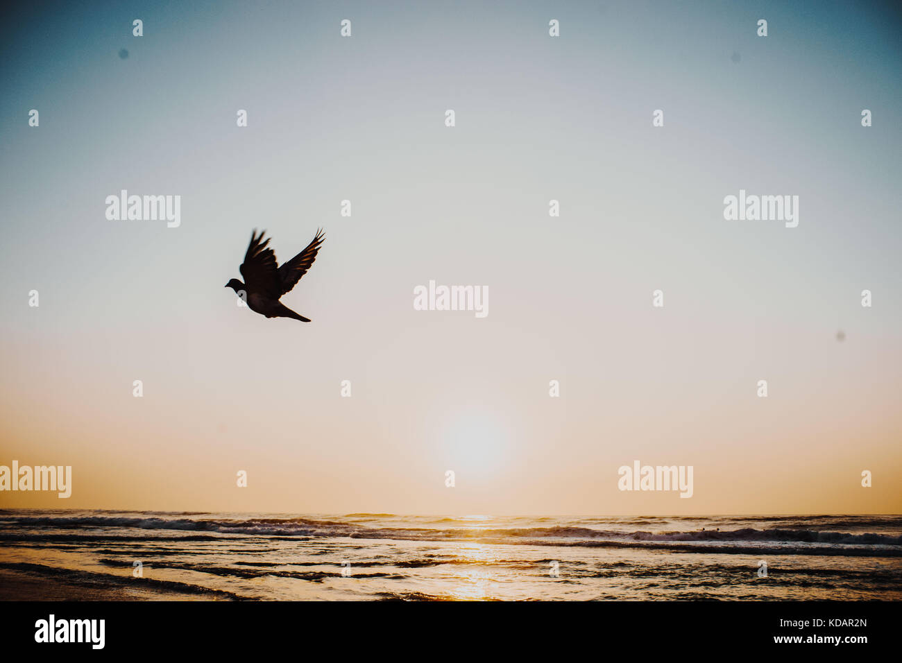 Follow the path less travelled Stock Photo - Alamy