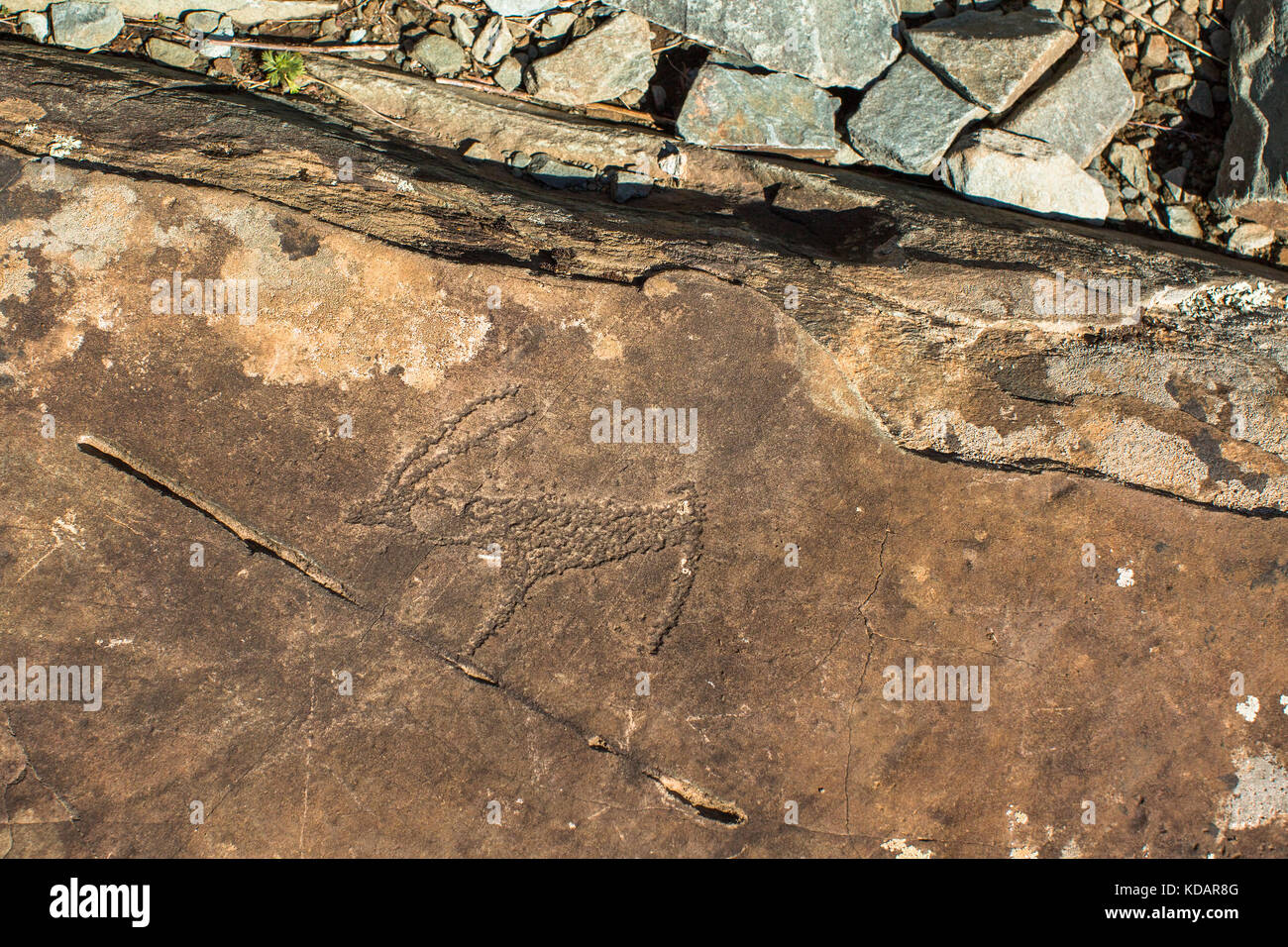 Petroglyphs of Altay. Ancient rock paintings in the Altai Mountains ...