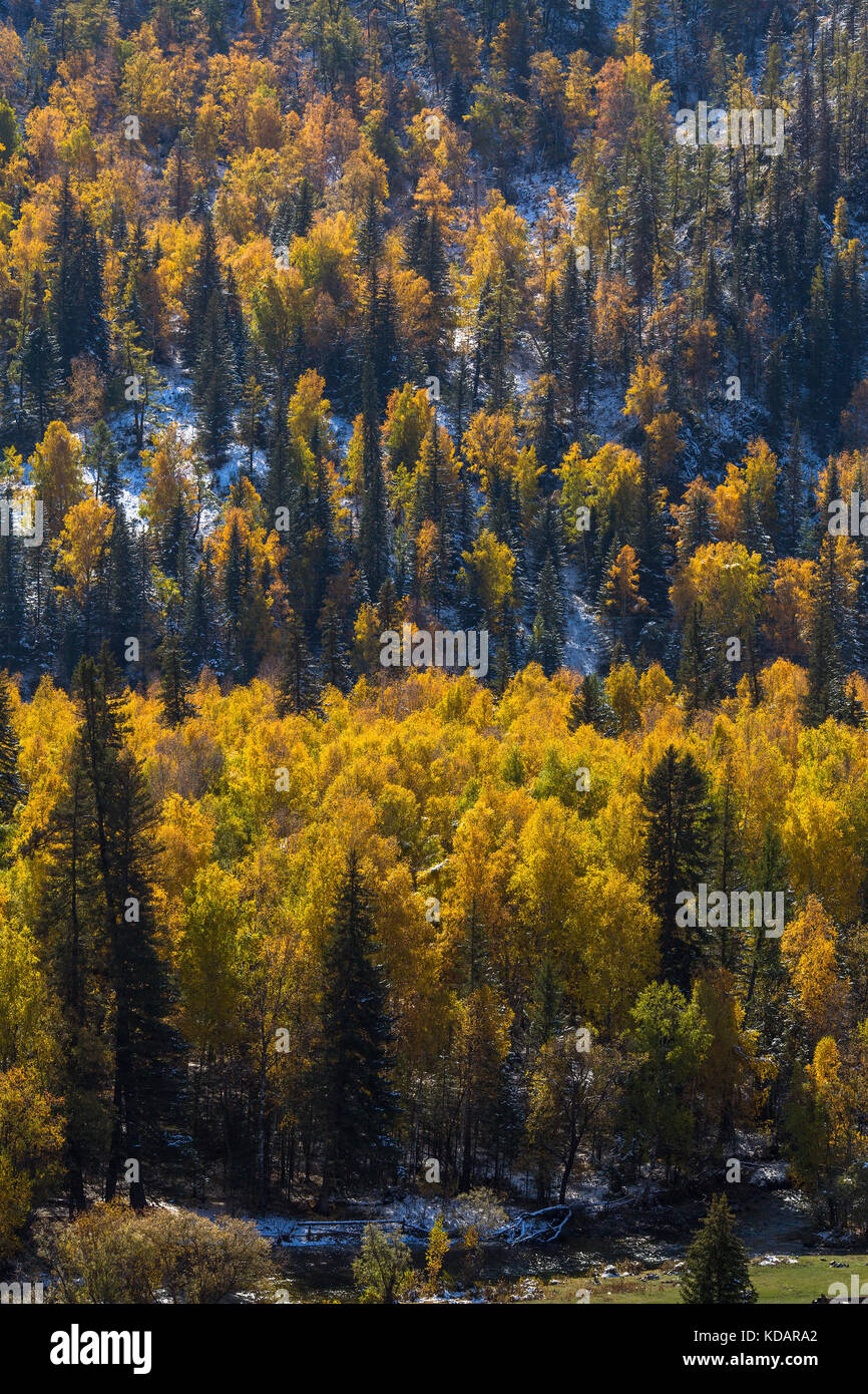 Gorny siberia hi-res stock photography and images - Alamy