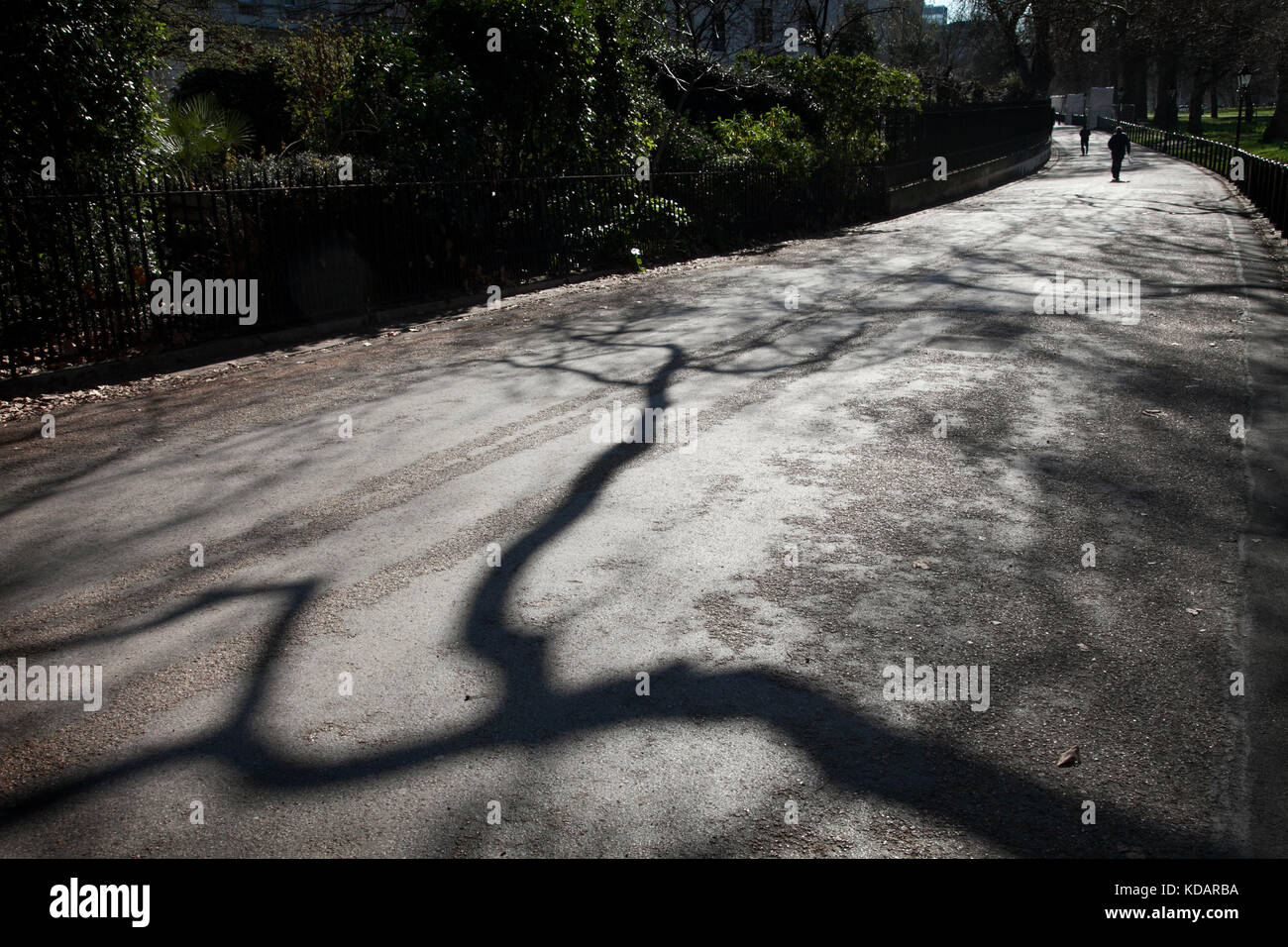 Tree shadow on footpath, London Stock Photo - Alamy