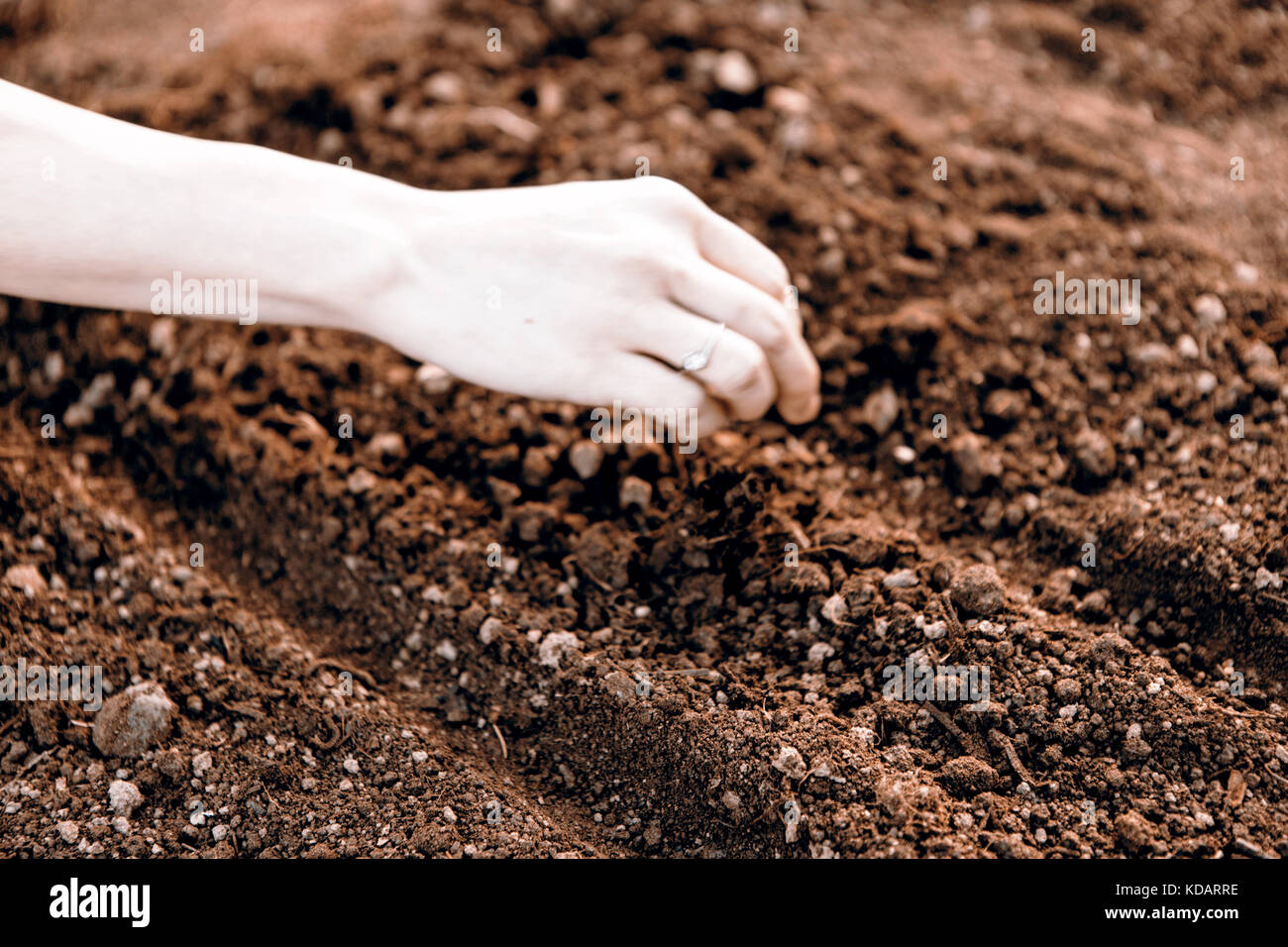 gardening, woman hand in the garden Stock Photo - Alamy
