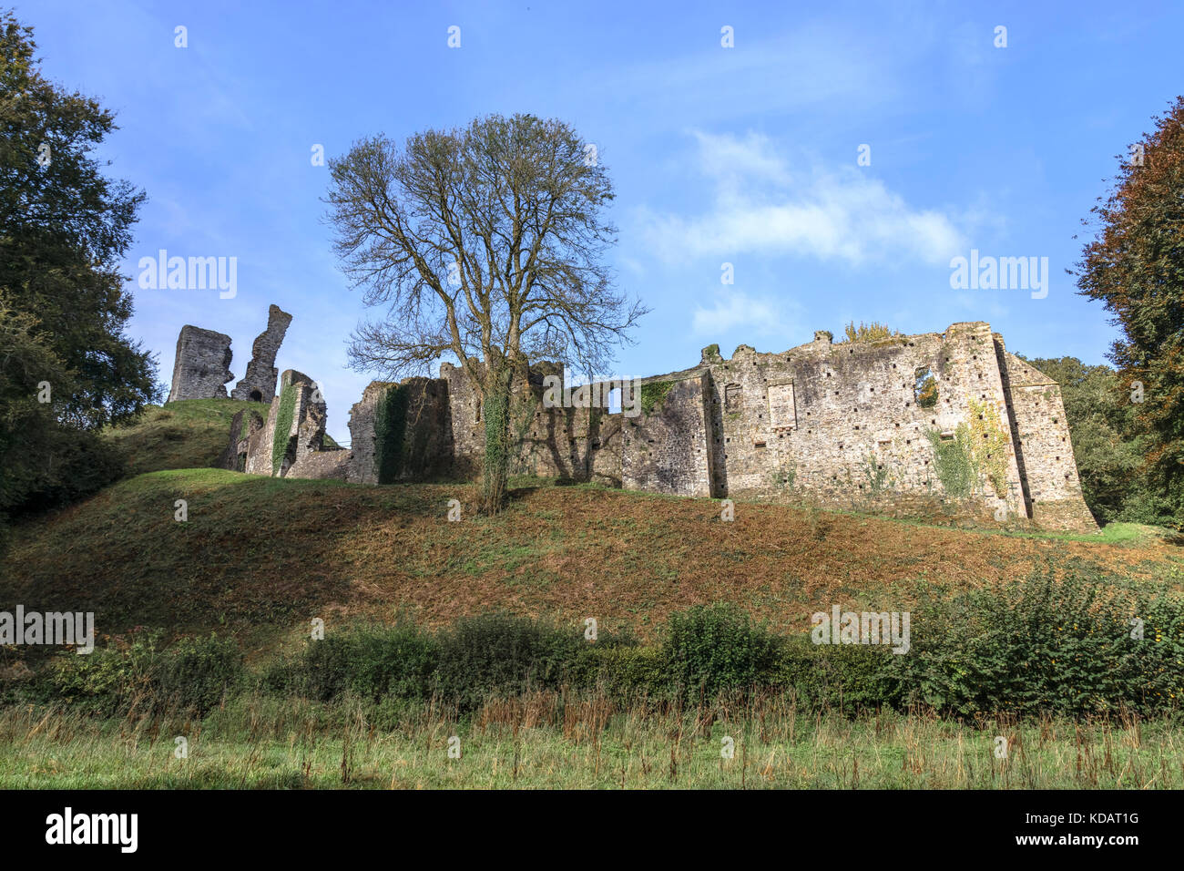 Okehampton dartmoor hi-res stock photography and images - Alamy