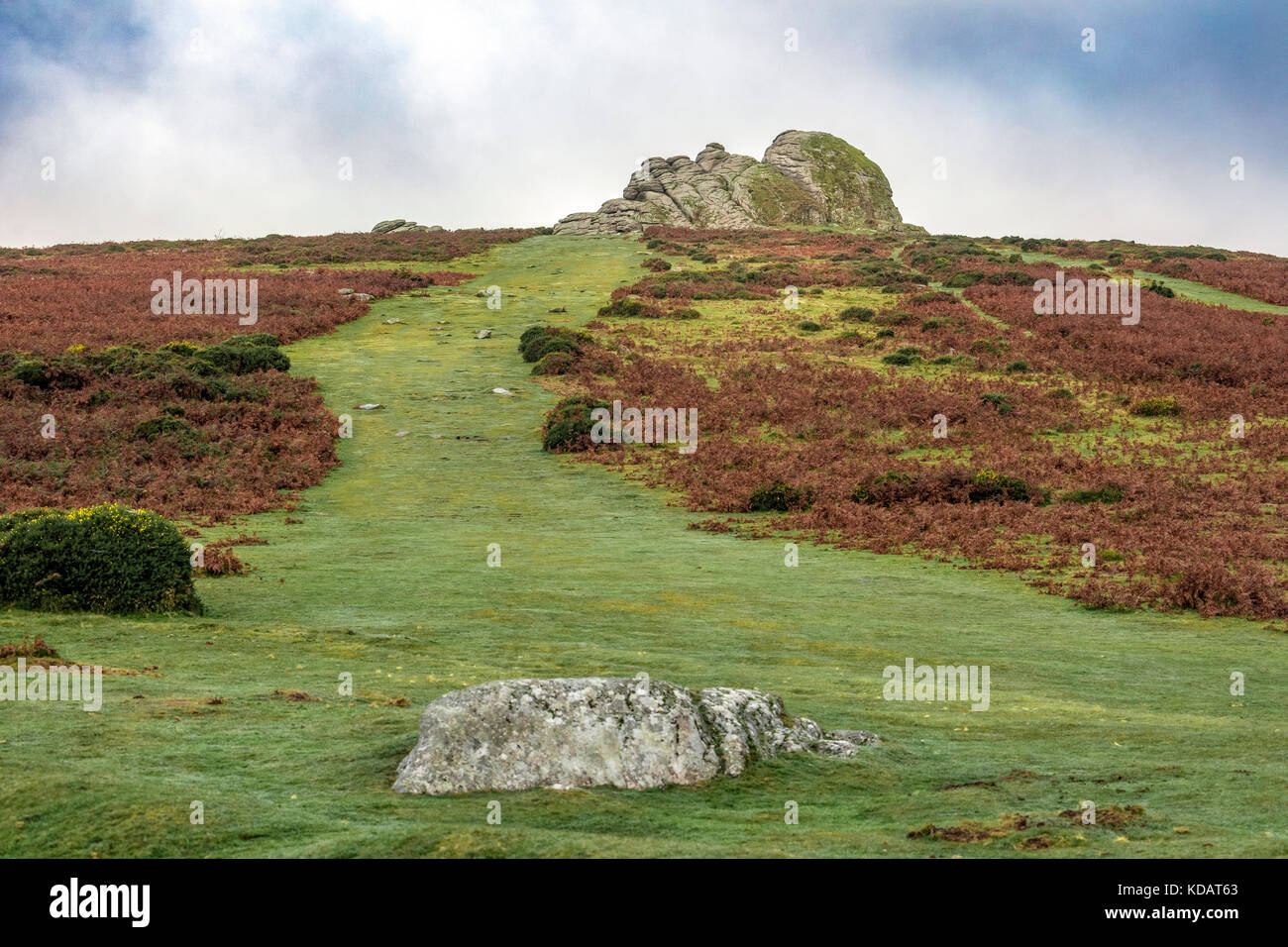 Haytor, Dartmoor, Devon, England, United Kingdom Stock Photo - Alamy