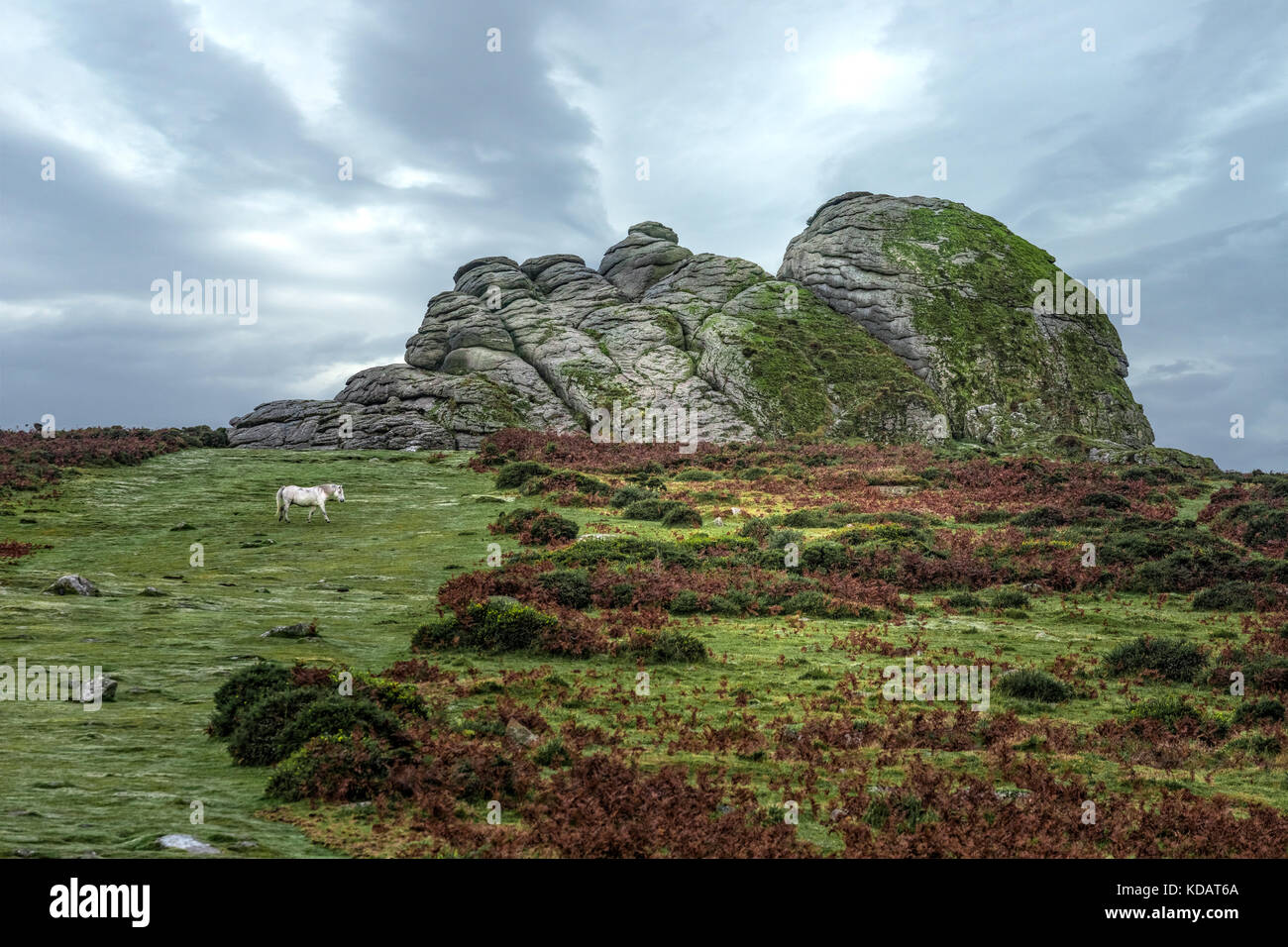 Haytor, Dartmoor, Devon, England, United Kingdom Stock Photo - Alamy