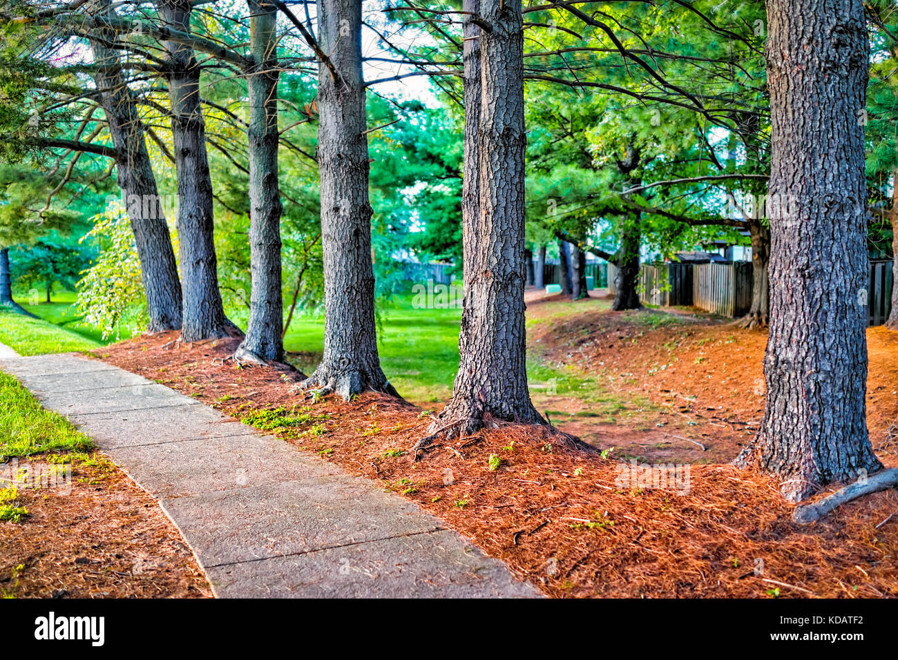 Suburban landscape design hi-res stock photography and images - Alamy