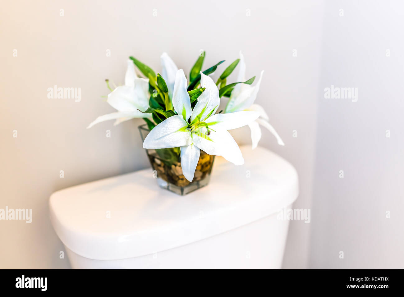 Modern clean white toilet in restroom with macro closeup of green lily ...