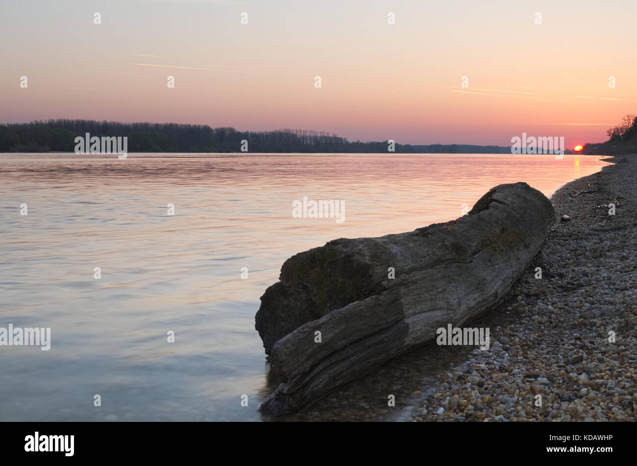 Driftwood Log on the Danube River Shore in the Sunrise Stock Photo - Alamy