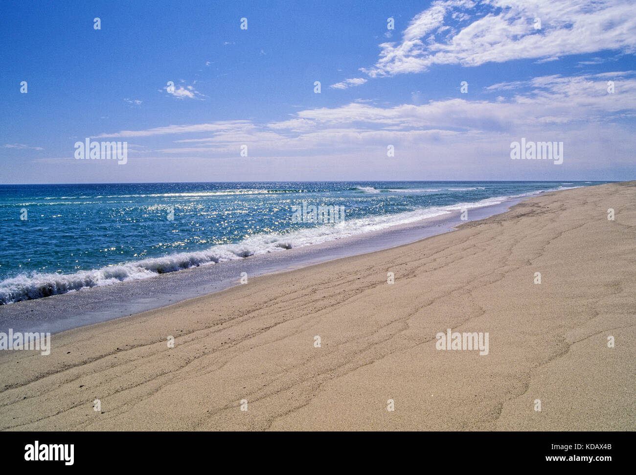Beach, Truro, Cape Cod National Seashore, Massachusetts Stock Photo - Alamy