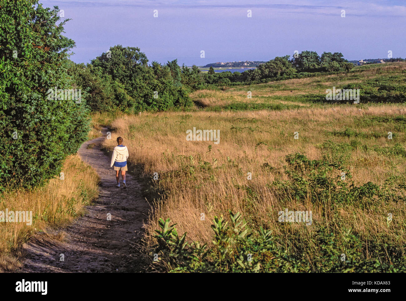 Fort Hill trail, Cape Cod National Seashore, Massachusetts, USA Stock ...