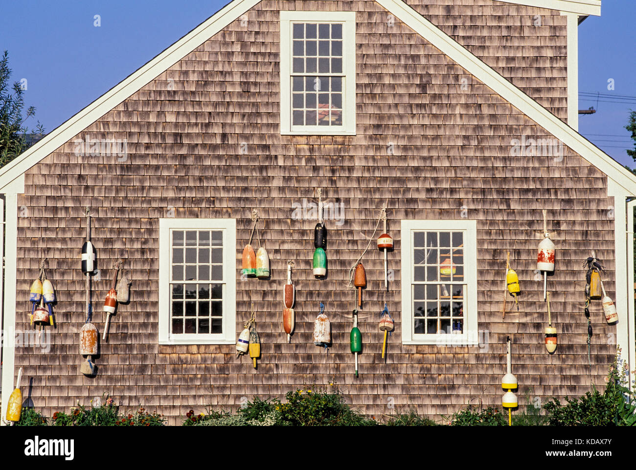 Peter cape hi-res stock photography and images - Alamy