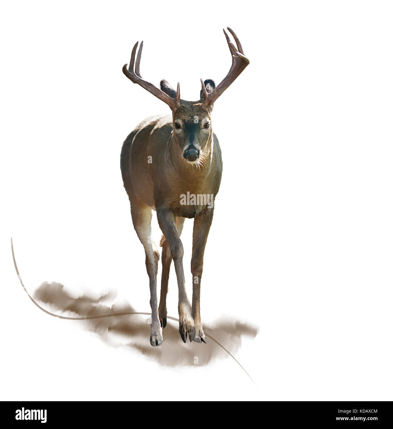 Digital Painting of Male Deer Stock Photo - Alamy