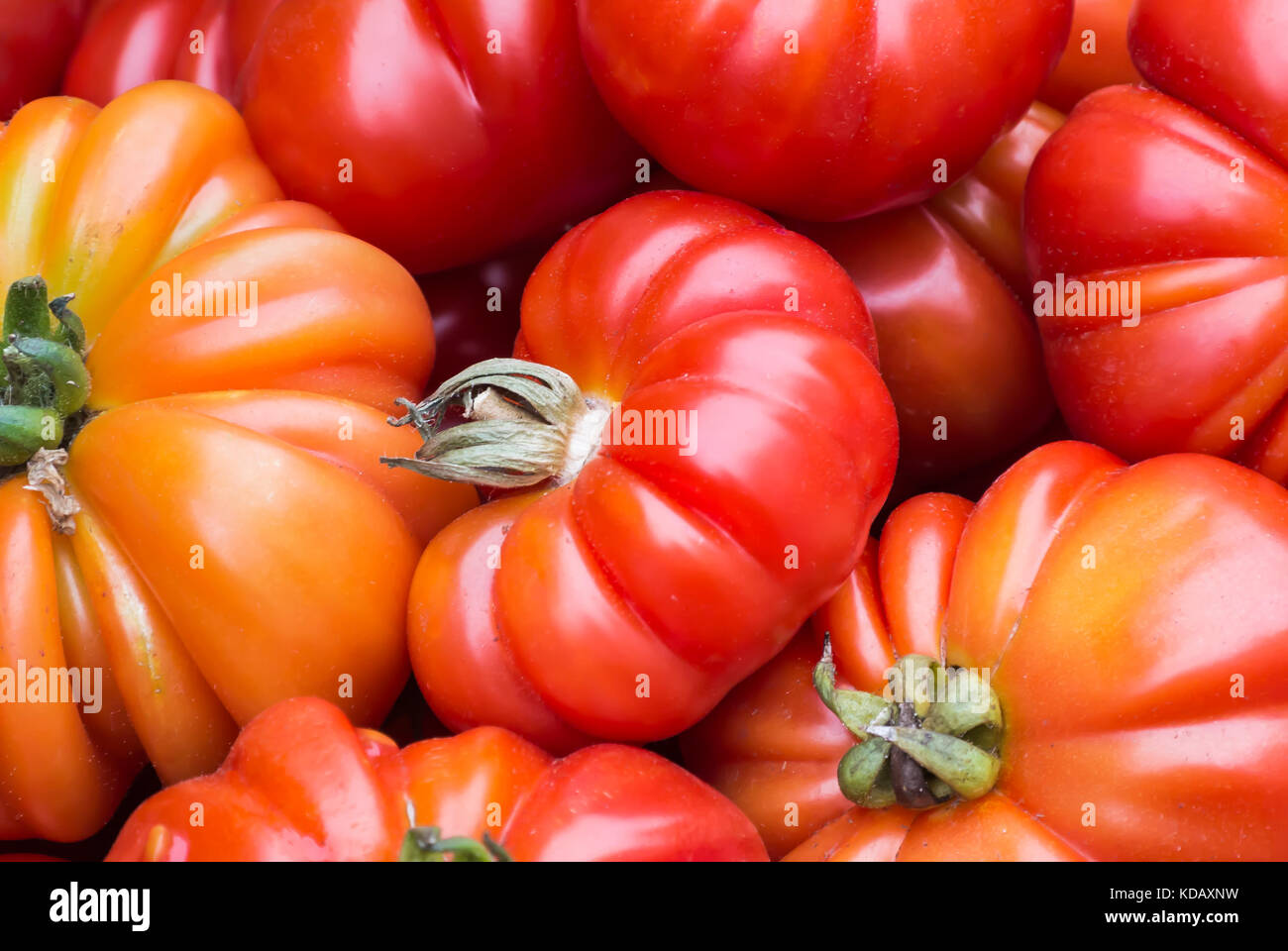 Ribbed tomatoes hi-res stock photography and images - Alamy