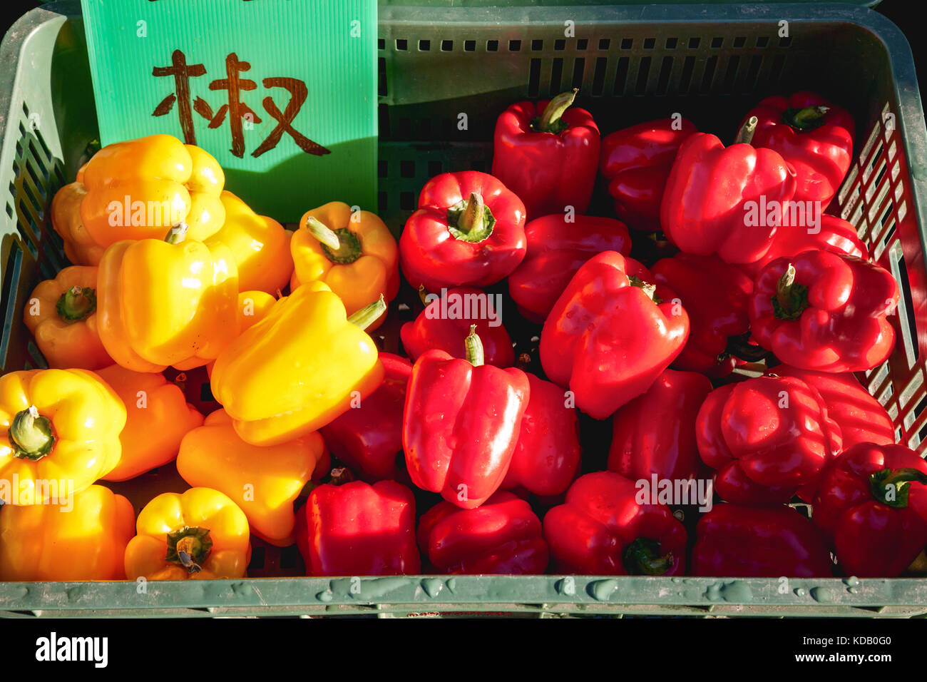 Harvested fresh red and yellow peppers in container for sale in Taiwan ...