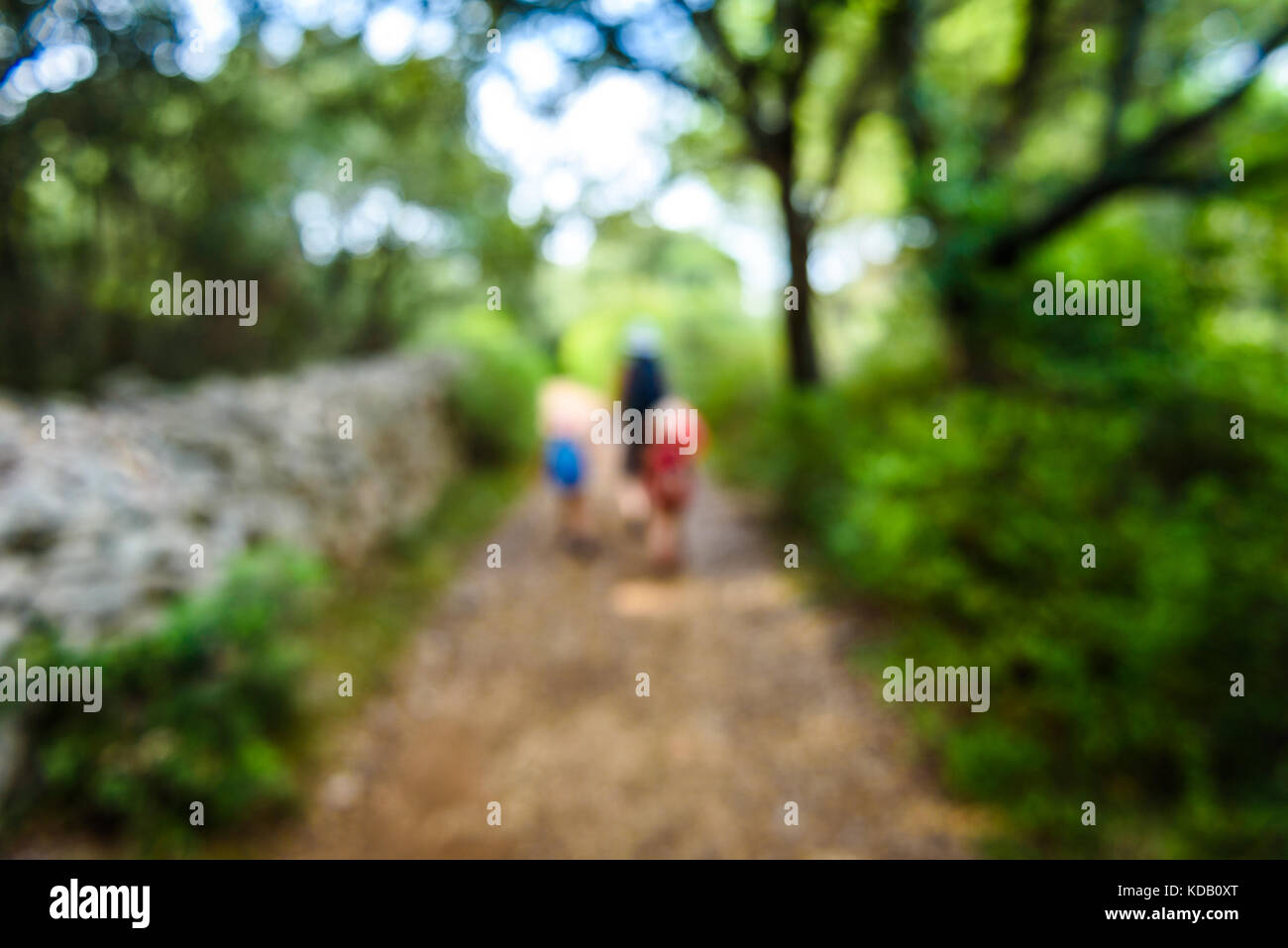 Family hiking on country road with rock fence and woods. Mother and ...