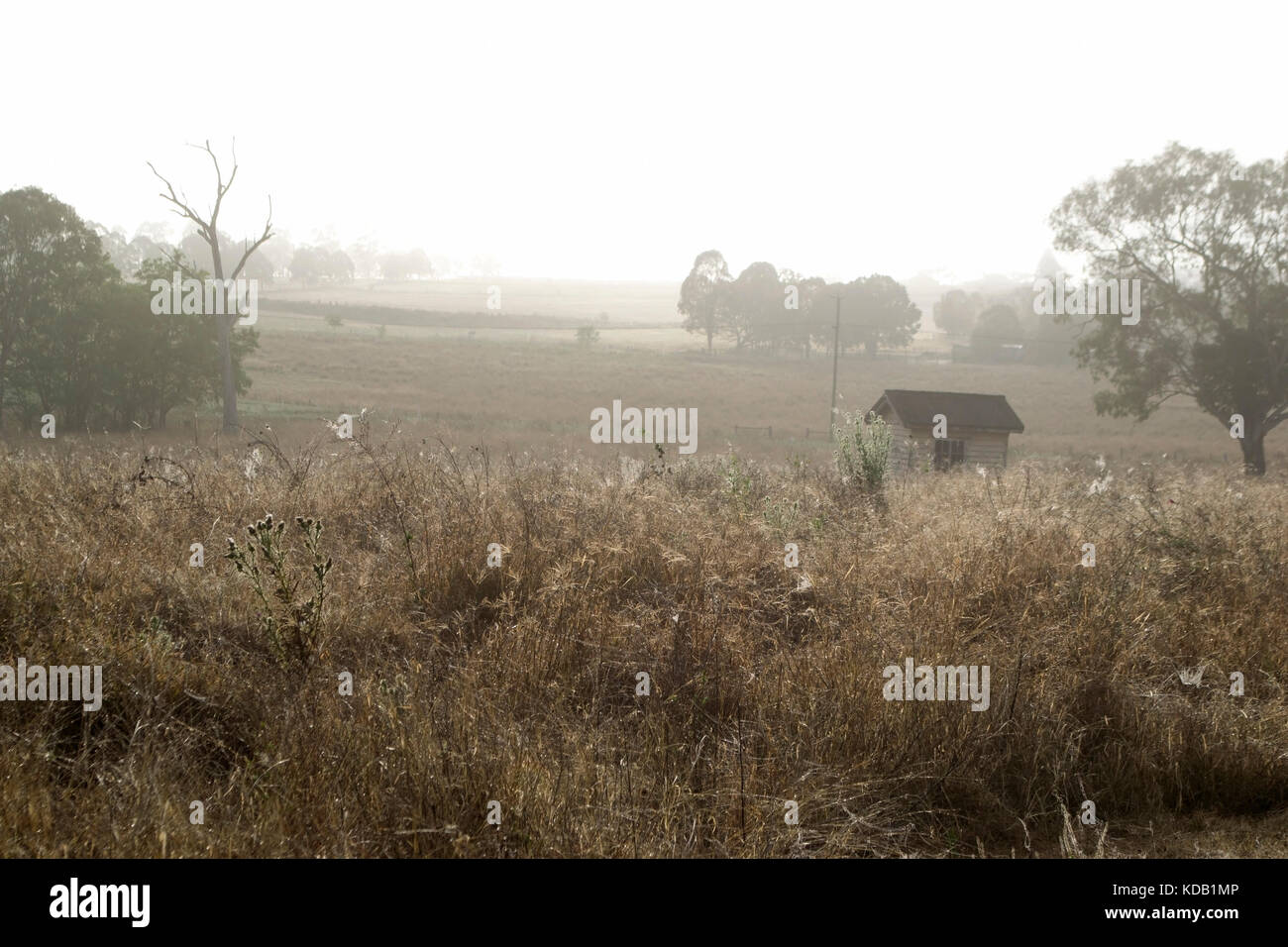 Kalbar High Resolution Stock Photography and Images - Alamy