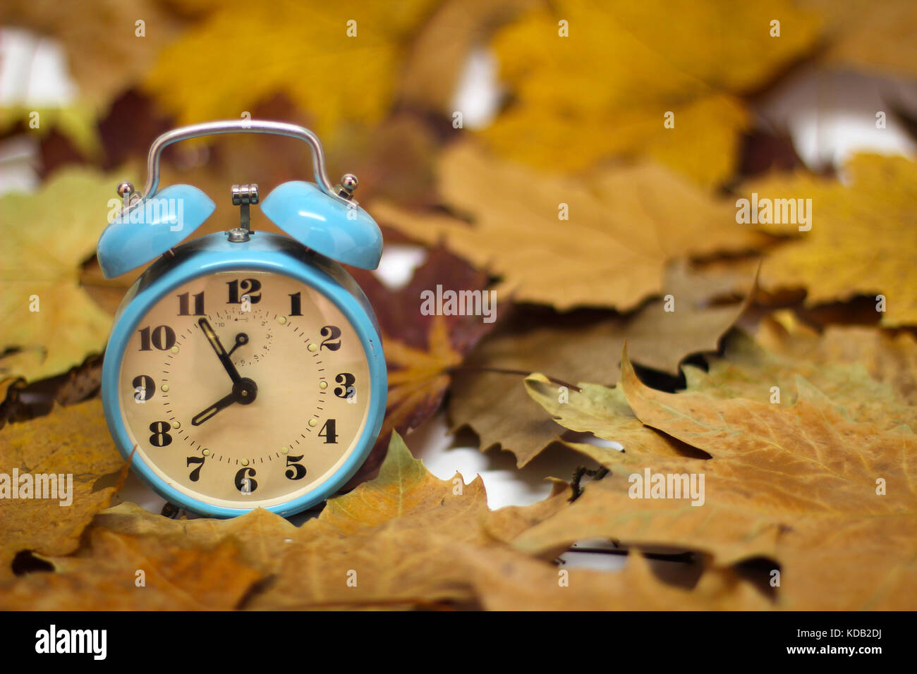 Autumn Still Life / Alarm clock and autumn leaves Stock Photo - Alamy