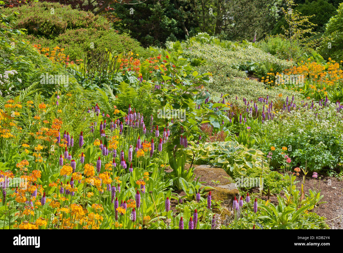 Moist colours hi-res stock photography and images - Alamy