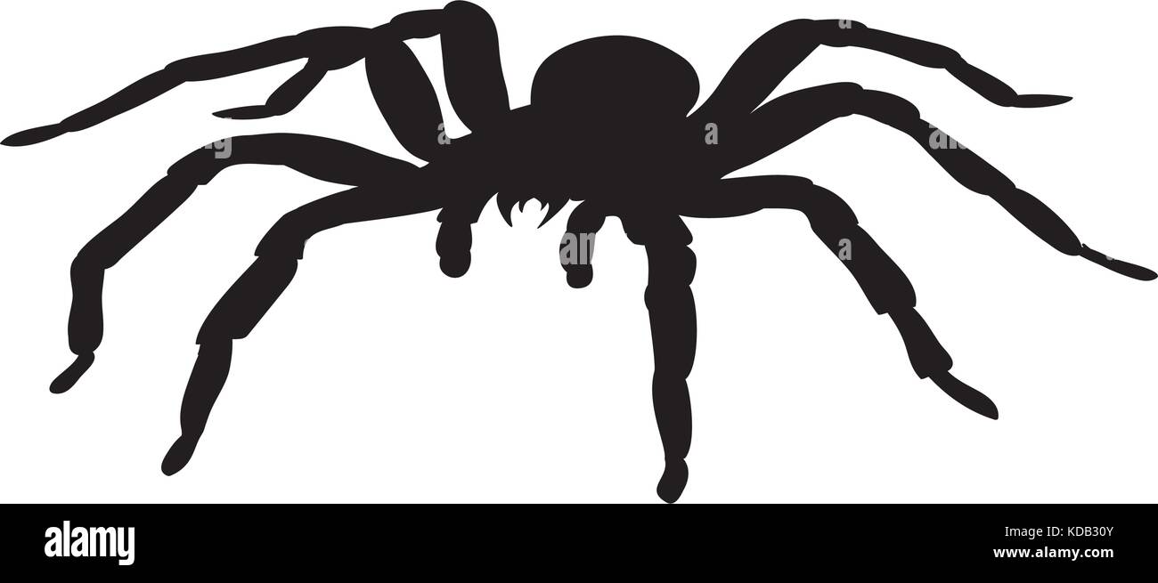 Spider monster silhouette ancient mythology fantasy. Vector ...