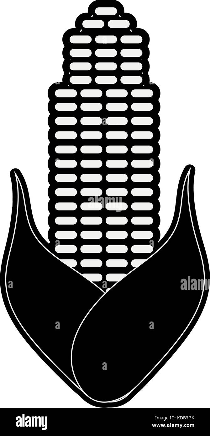 corn knob vegetable icon image Stock Vector Image & Art - Alamy