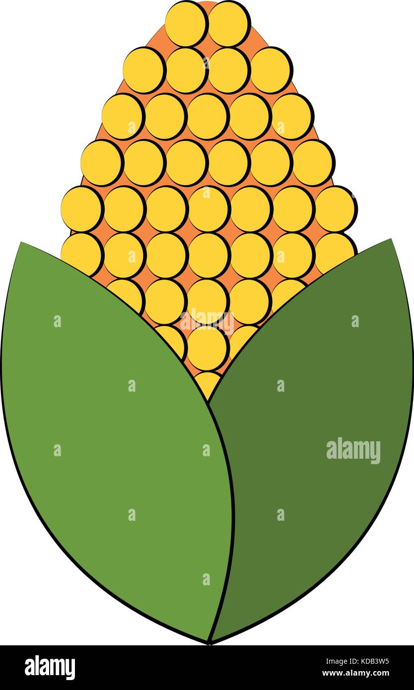 corn knob vegetable icon image vector illustration Stock Vector Image ...