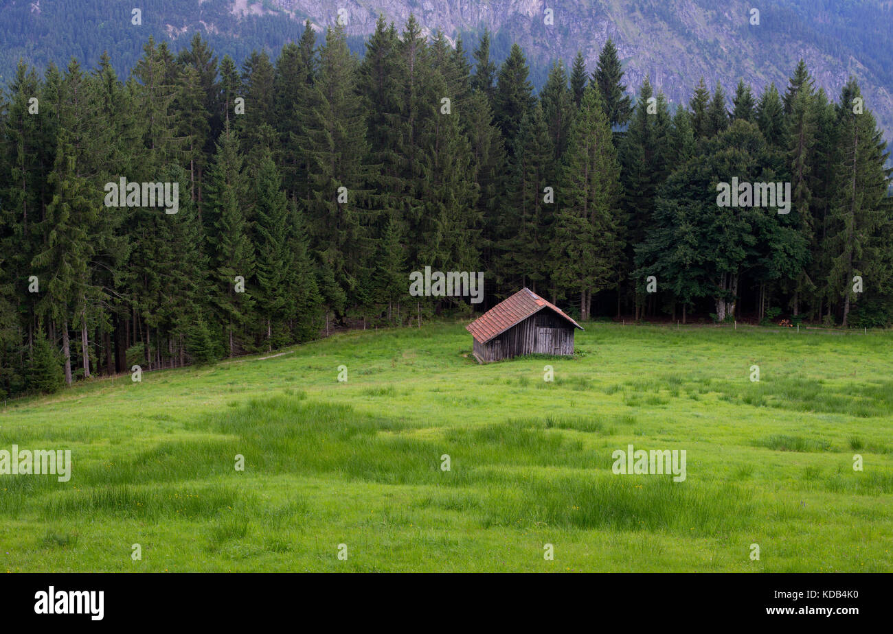 Alpine field with cabin hi-res stock photography and images - Alamy