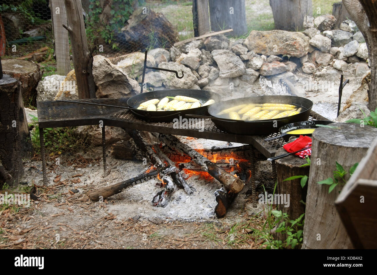 Cooking corn on a campfire in the wilderness Stock Photo - Alamy