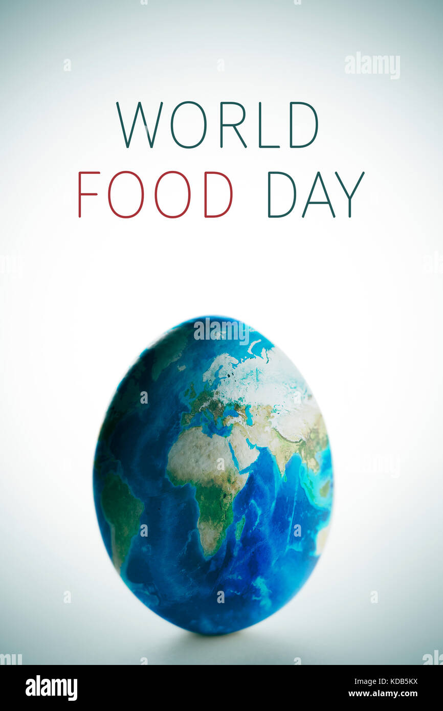 a chicken egg patterned with a world map (furnished by NASA) and the ...