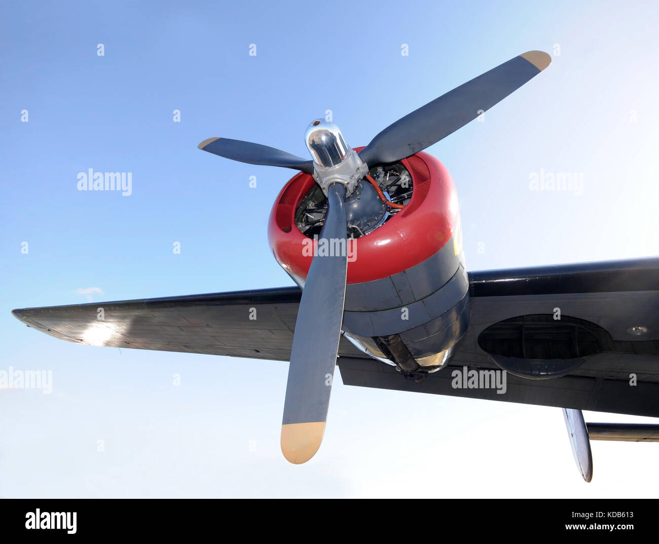 Big wing ww2 hi-res stock photography and images - Alamy