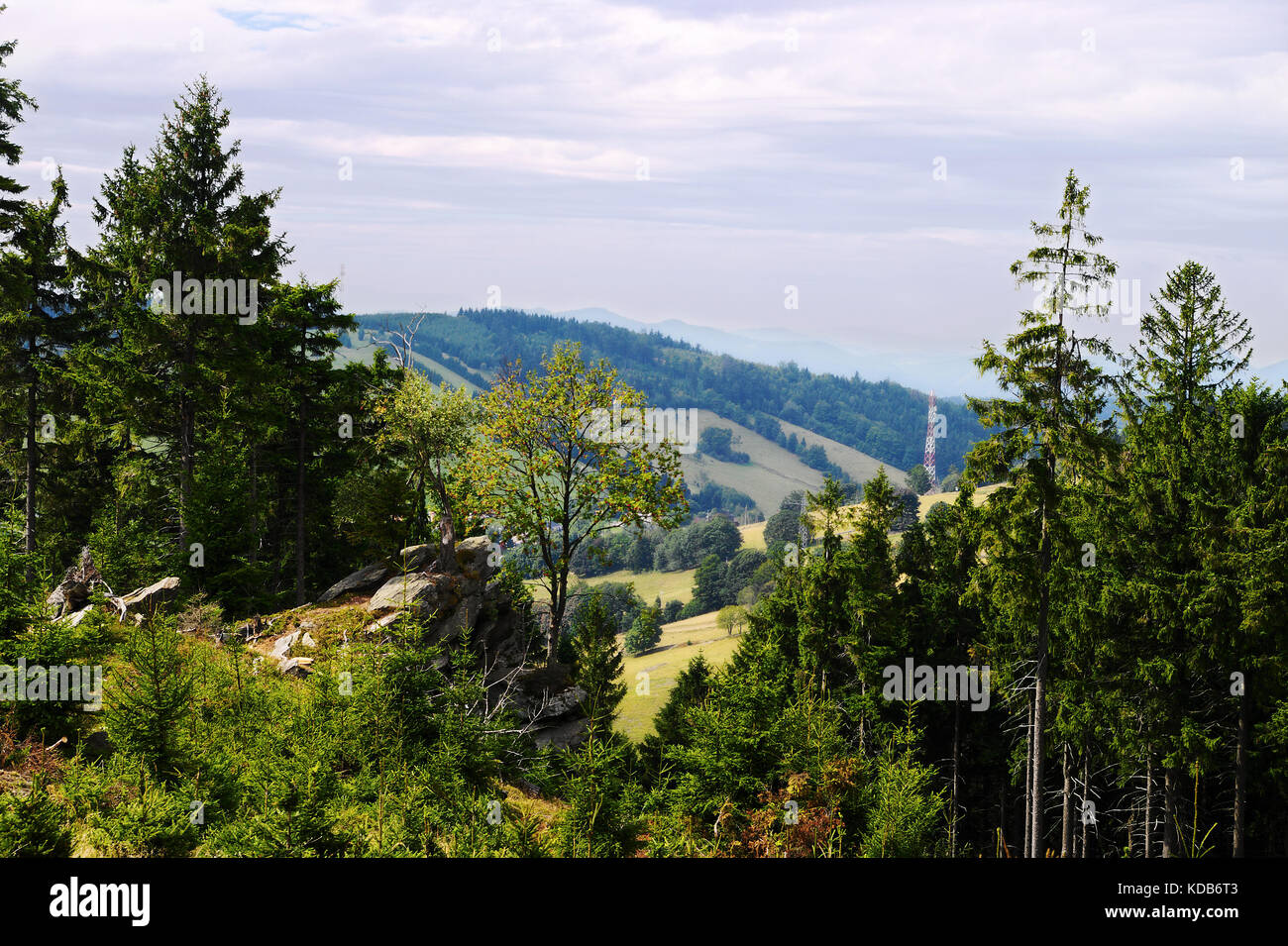 Vast panorama view from the forested hill in the Owl Mountains (Gory ...