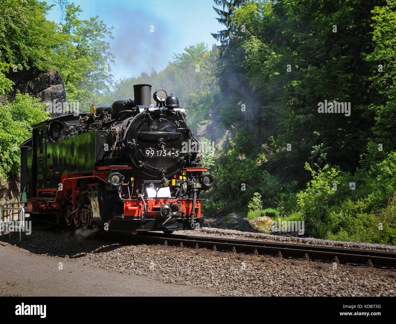 Forest locomotive hi-res stock photography and images - Alamy