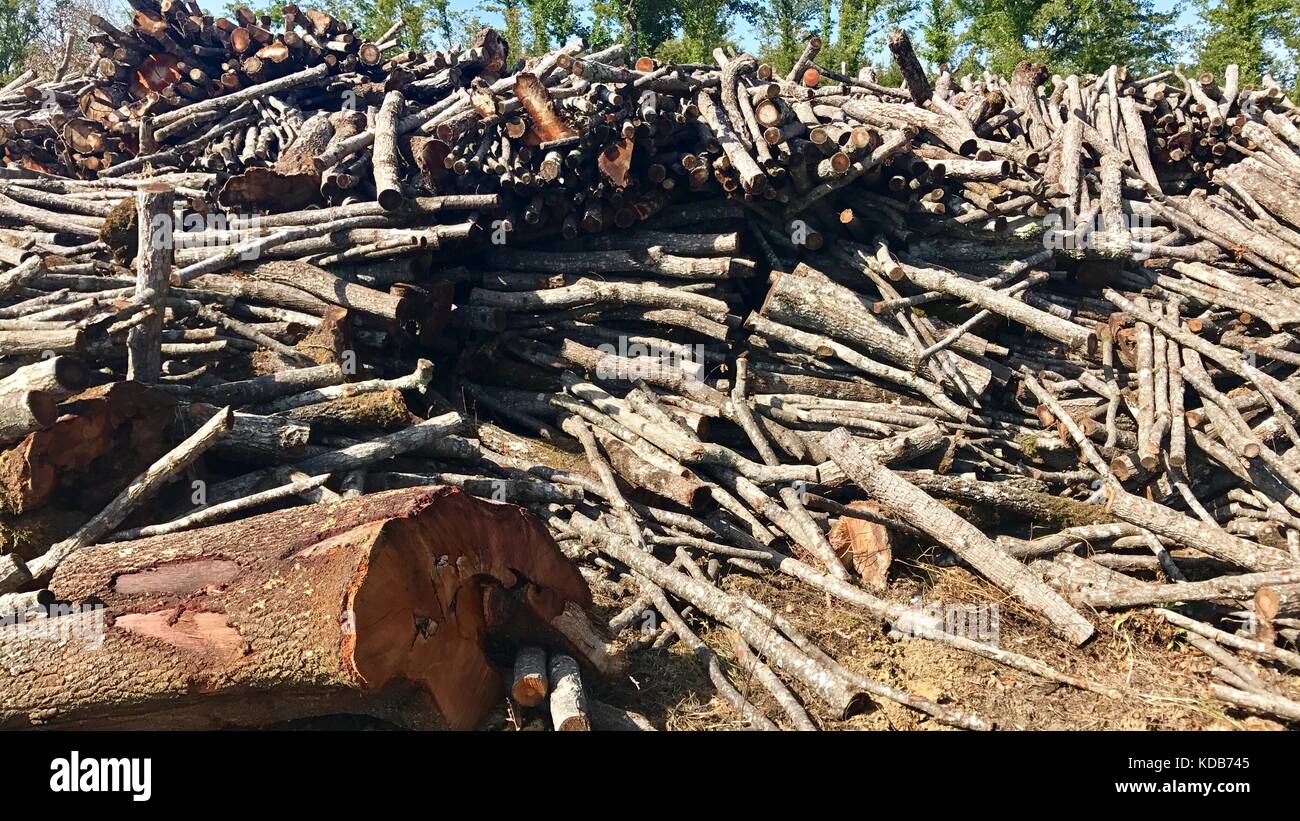 Deck firewood lumber timber hi-res stock photography and images - Alamy